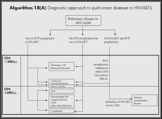 18. HIV AND THE RESPIRATORY SYSTEM