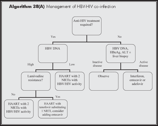 38. HEPATITIS B AND C IN HIV/AIDS